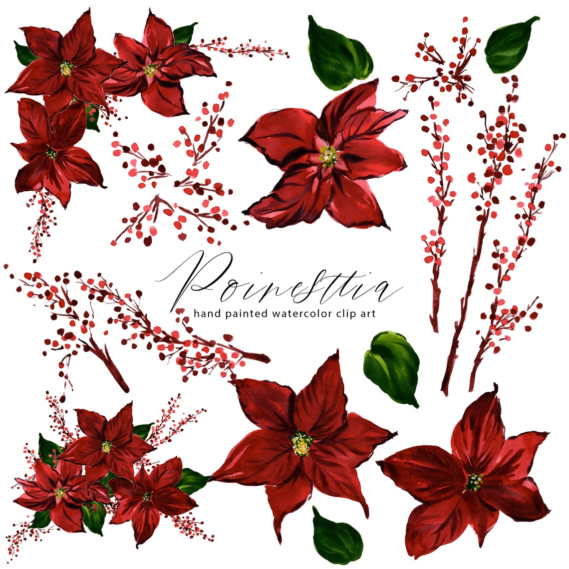 Watercolor Floral Clipart Poinsettias Christmas - Etsy