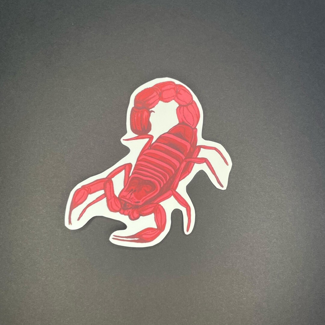 Red Scorpion Sticker Bug Insect Laptop Phone Decal Nature Cool Stinger ...