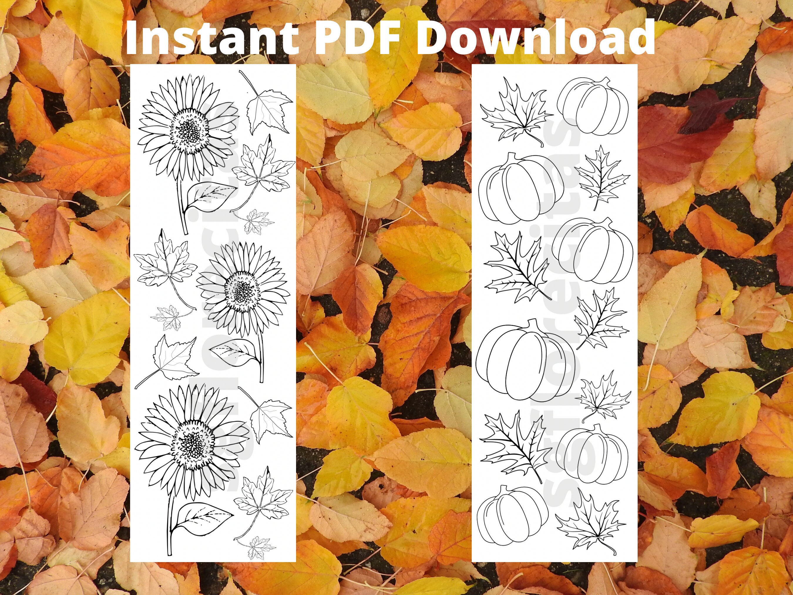Fall Bookmarks to Color Fall Bookmarks Printable Coloring - Etsy