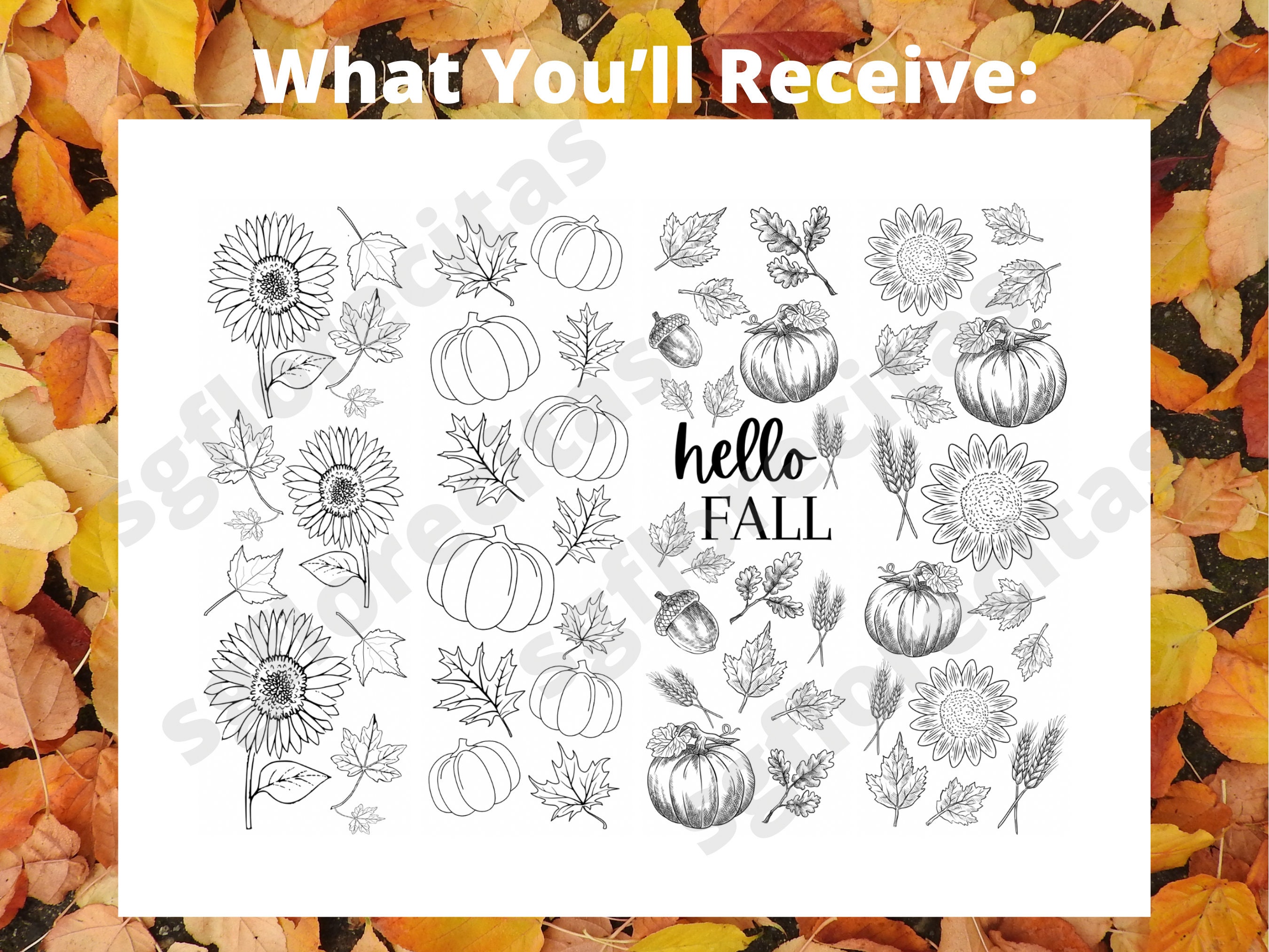 Fall Bookmarks to Color Fall Bookmarks Printable Coloring - Etsy