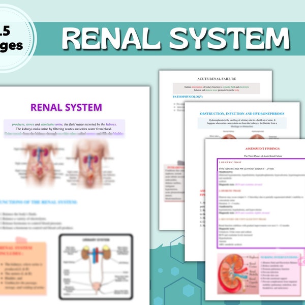Med Surg System Assessment Template - Etsy