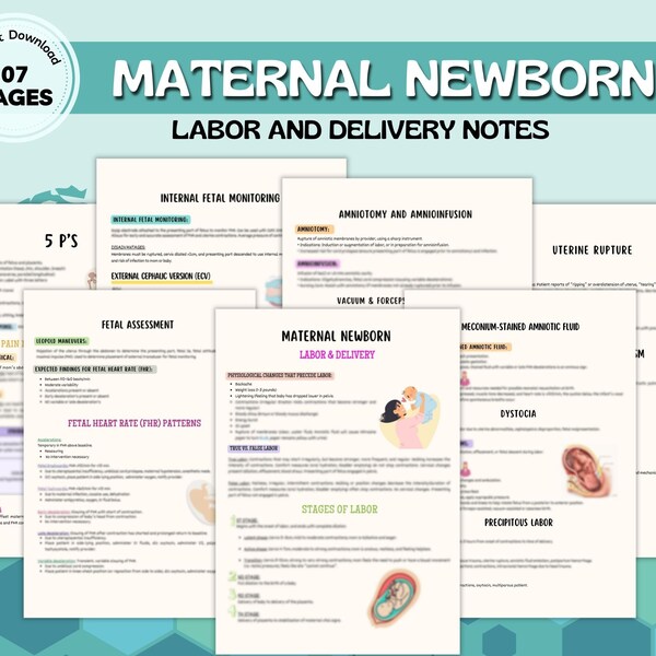 Maternal Newborn Nursing - Etsy