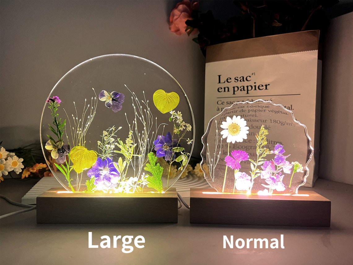 Timeinhand|natural Flowers Night Light With Wood Base,colorful Pressed ...