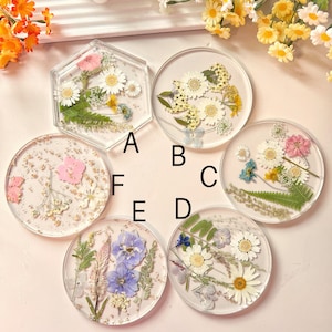 Natural Flowers Coasters,colorful Pressed Real Flowers Outdoor Coasters ...