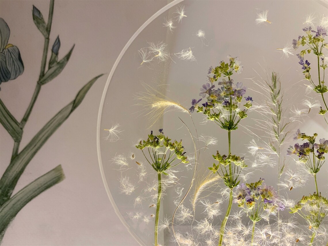 Timeinhand|natural Flowers Night Light With Wood Base,colorful Pressed ...