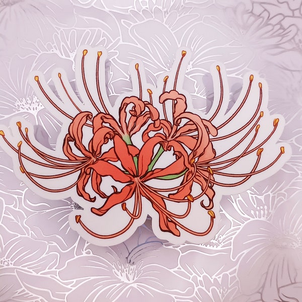 Spider Lily - Etsy