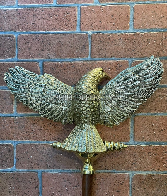 Aquila Eagle