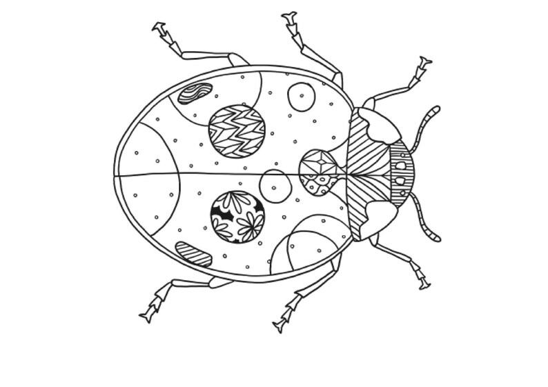 Minibeasts Coloring Pages - Etsy