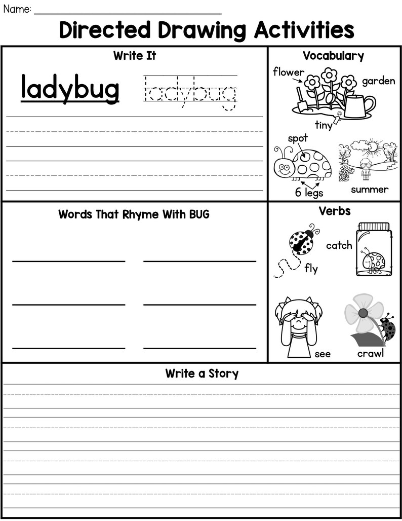 Tiny Animals and Insects - Directed Drawing and Vocabulary Activity for ...