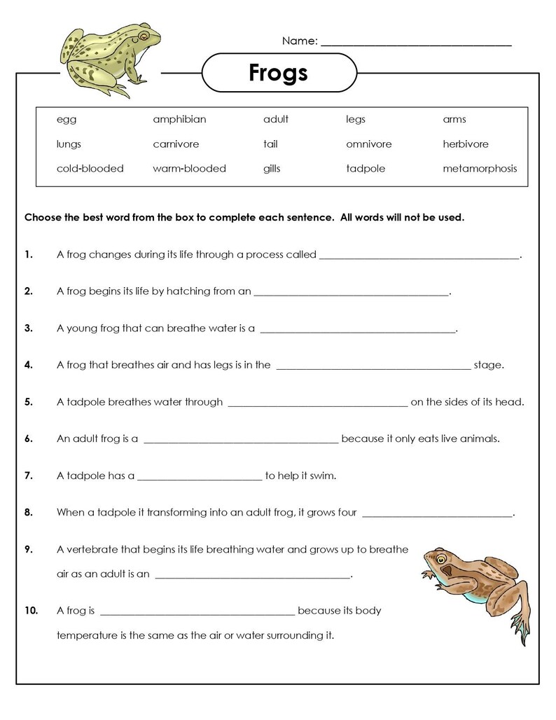 Life Cycle of a Frog | Activity Worksheets - Etsy