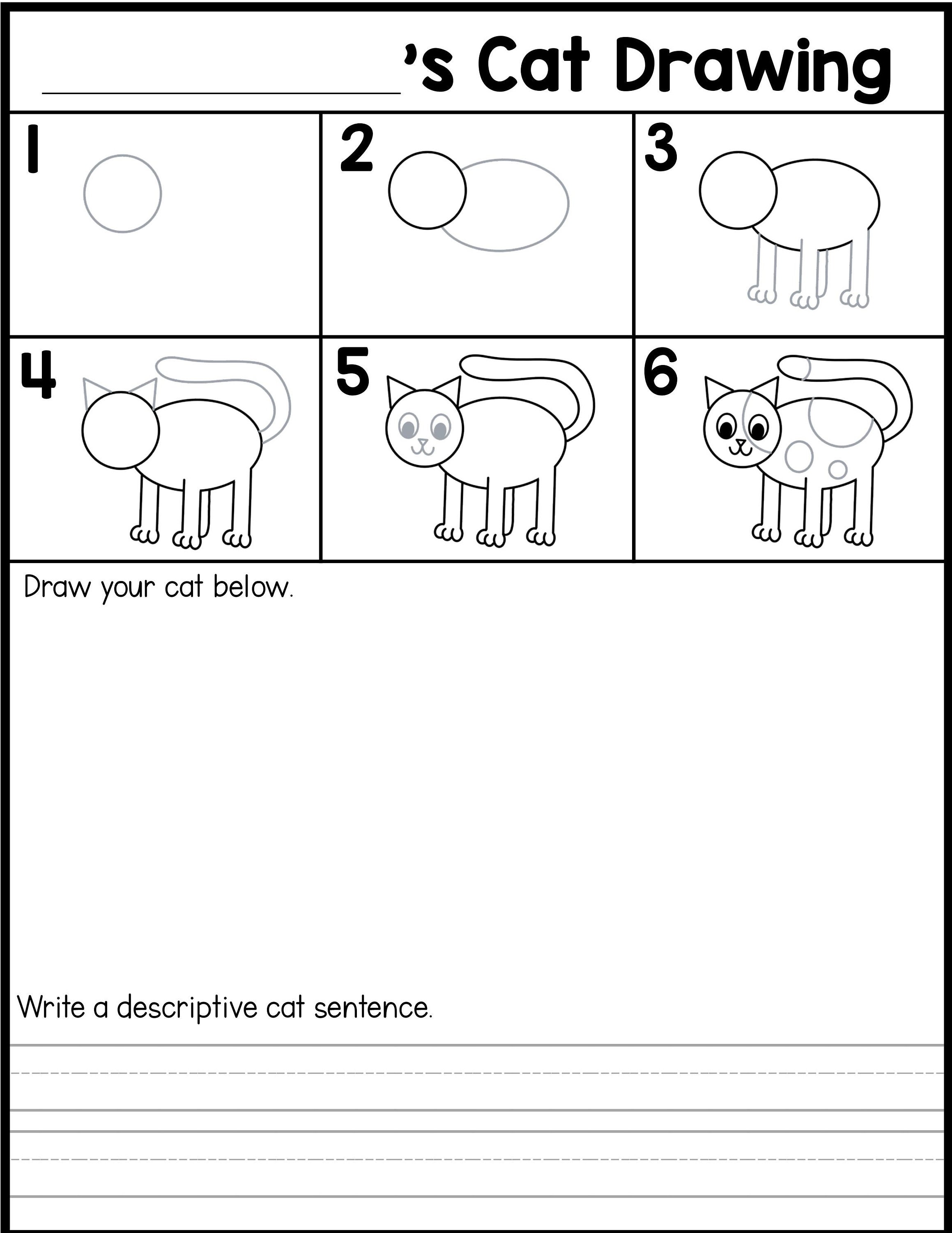 Animal Directed Drawing and Vocabulary Activity for Kids - Etsy