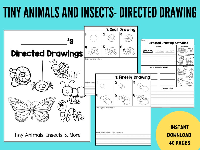 Tiny Animals and Insects - Directed Drawing and Vocabulary Activity for ...