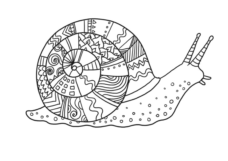 Minibeasts Coloring Pages - Etsy