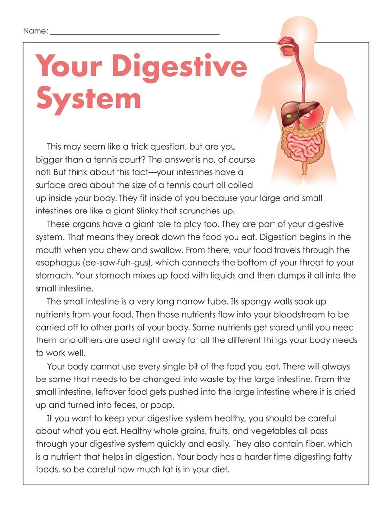 Human Body Worksheets - Etsy