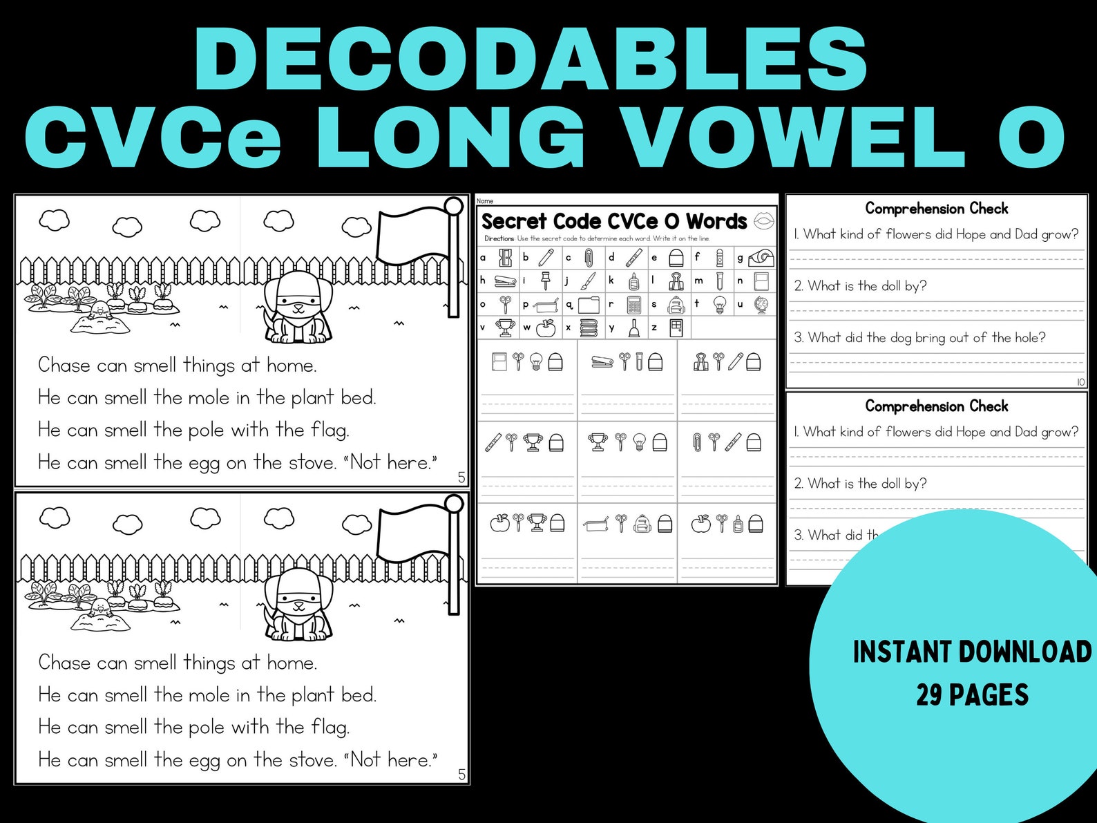 Decodables – Cvce Long Vowel O - Etsy