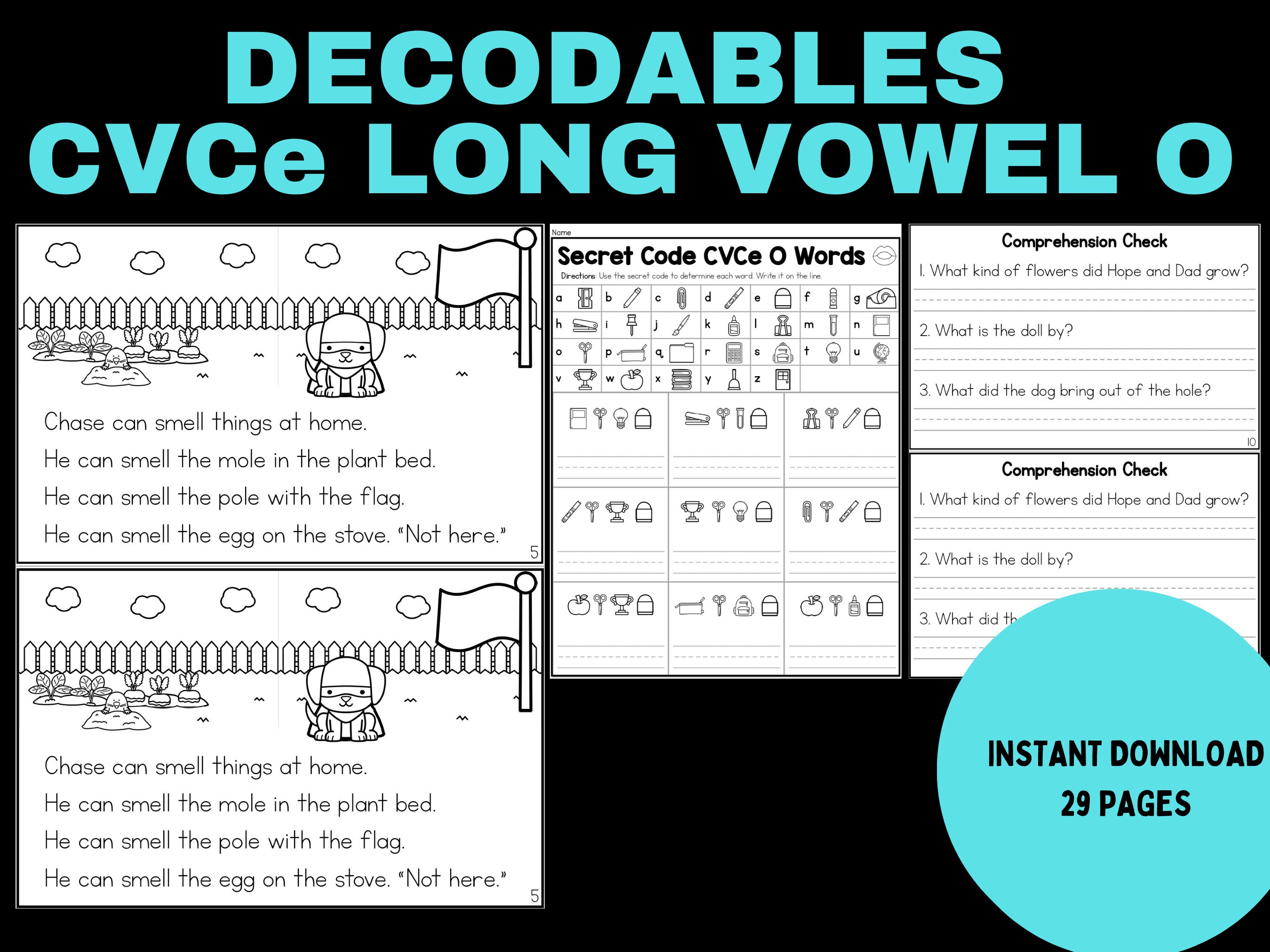 Decodables – Cvce Long Vowel O - Etsy