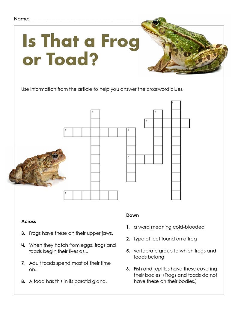 Life Cycle of a Frog | Activity Worksheets - Etsy