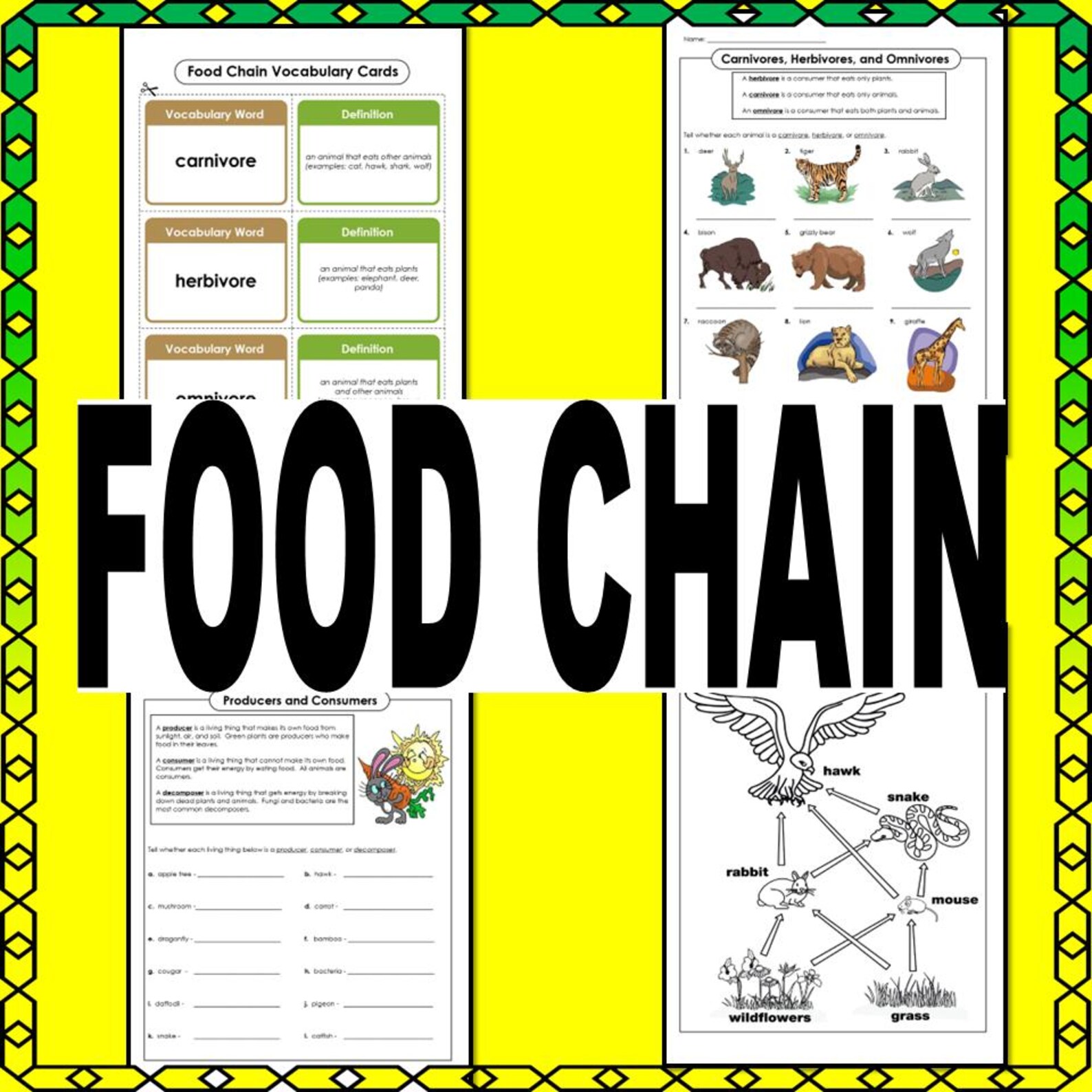 Food Chain Activity Worksheets | 2nd and 3rd Grade - Etsy