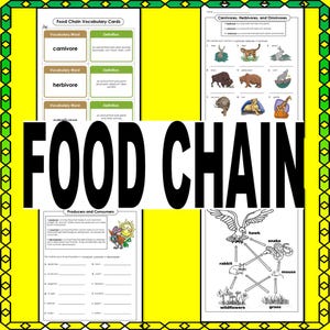 Food Chain Activity Worksheets | 2nd and 3rd Grade - Etsy