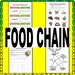Food Chain Activity Worksheets | 2nd and 3rd Grade - Etsy