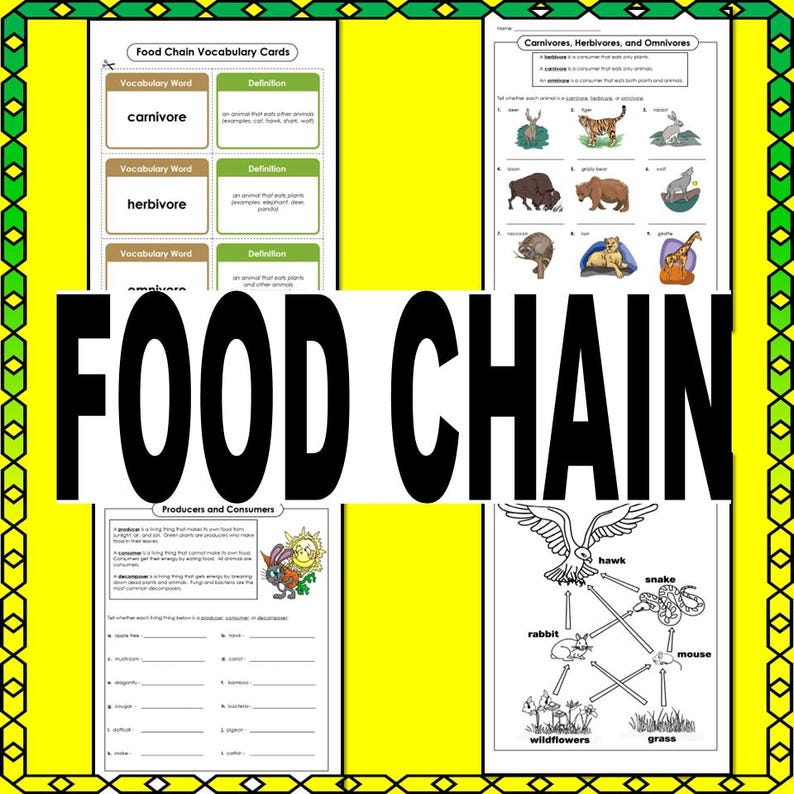 Food Chain Activity Worksheets | 2nd and 3rd Grade - Etsy