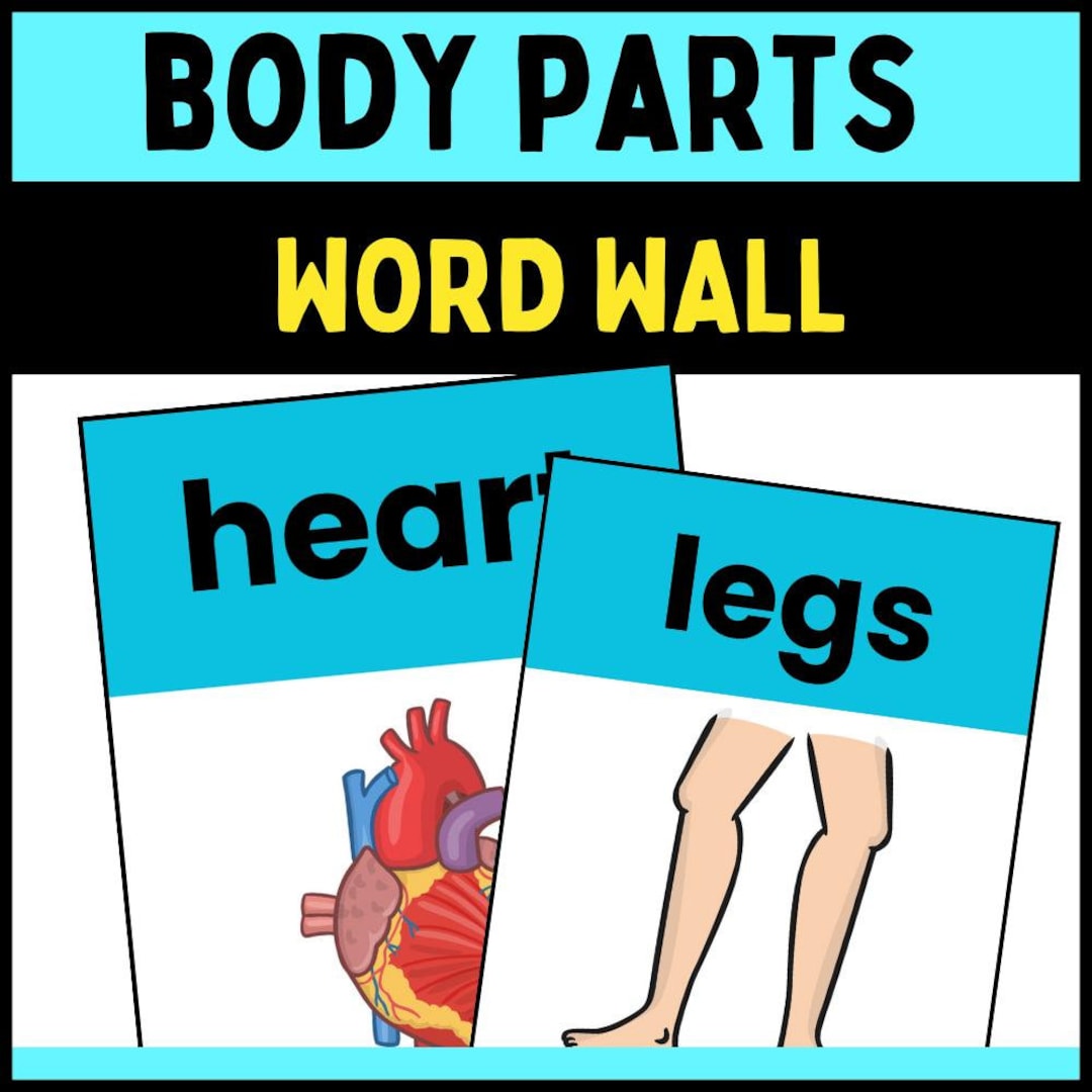 My Body Word Wall ~ Parts of the Body - Etsy