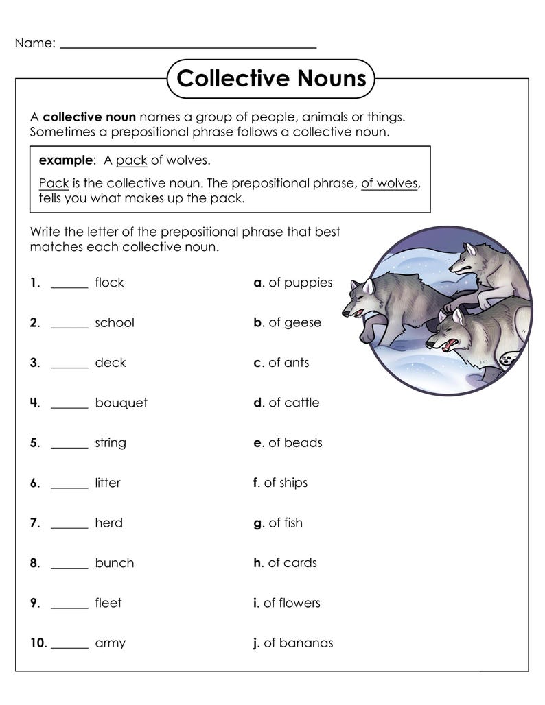 Noun Worksheets - Etsy