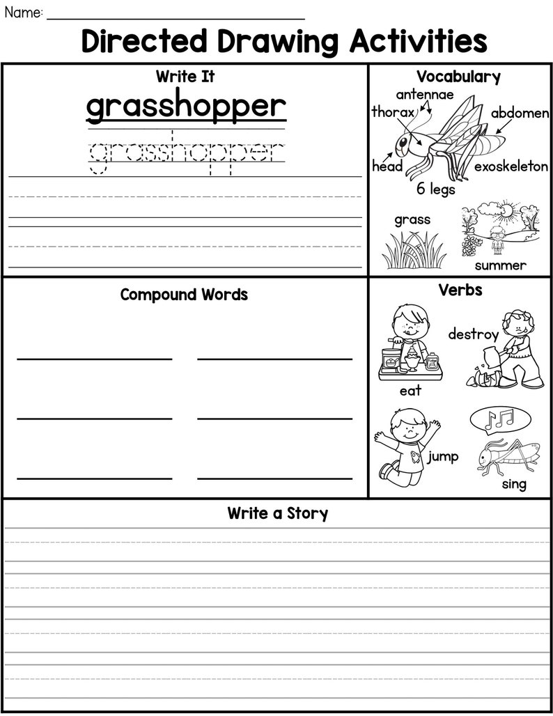 Tiny Animals and Insects - Directed Drawing and Vocabulary Activity for ...