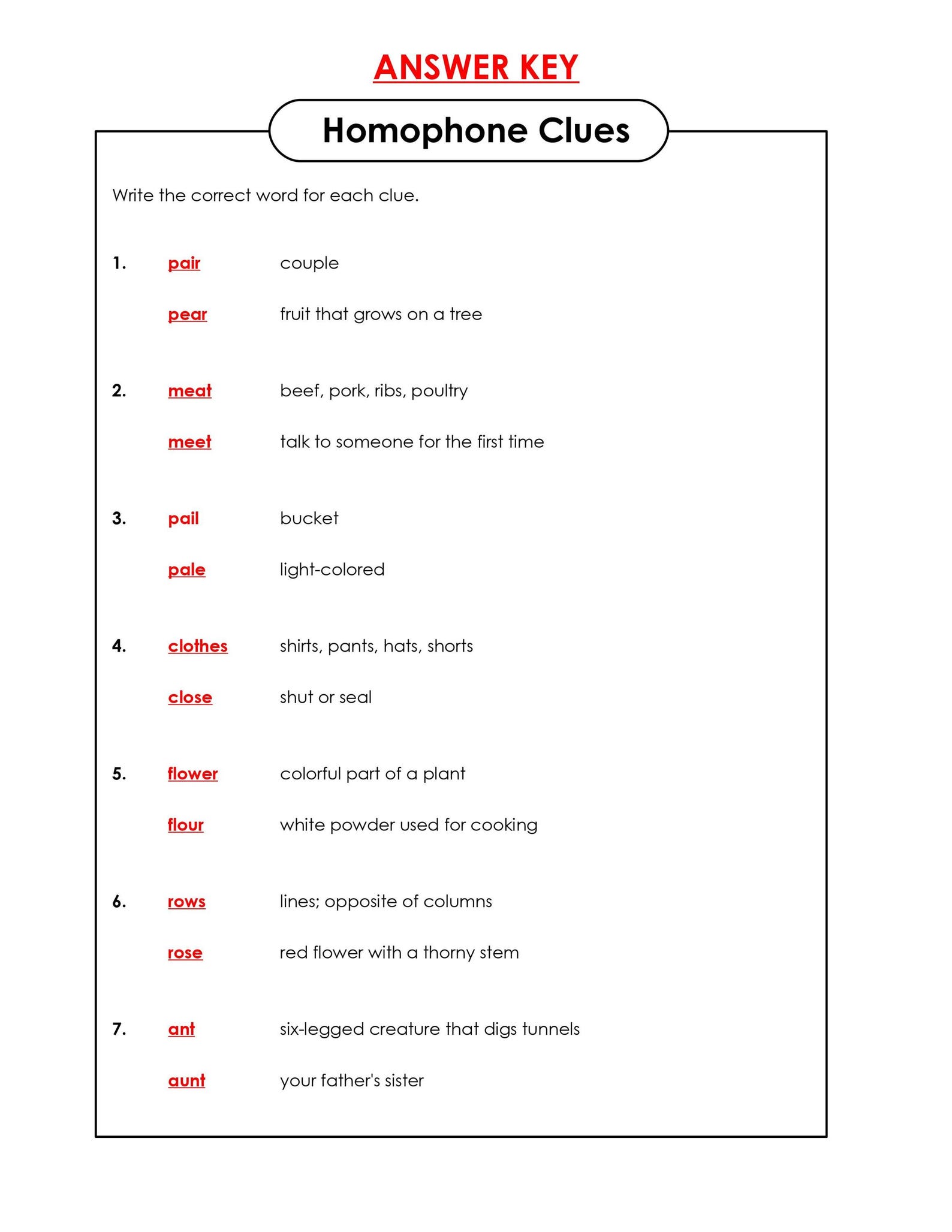 Printable Homophone Worksheets: Classroom Grammar (PDF) - Etsy