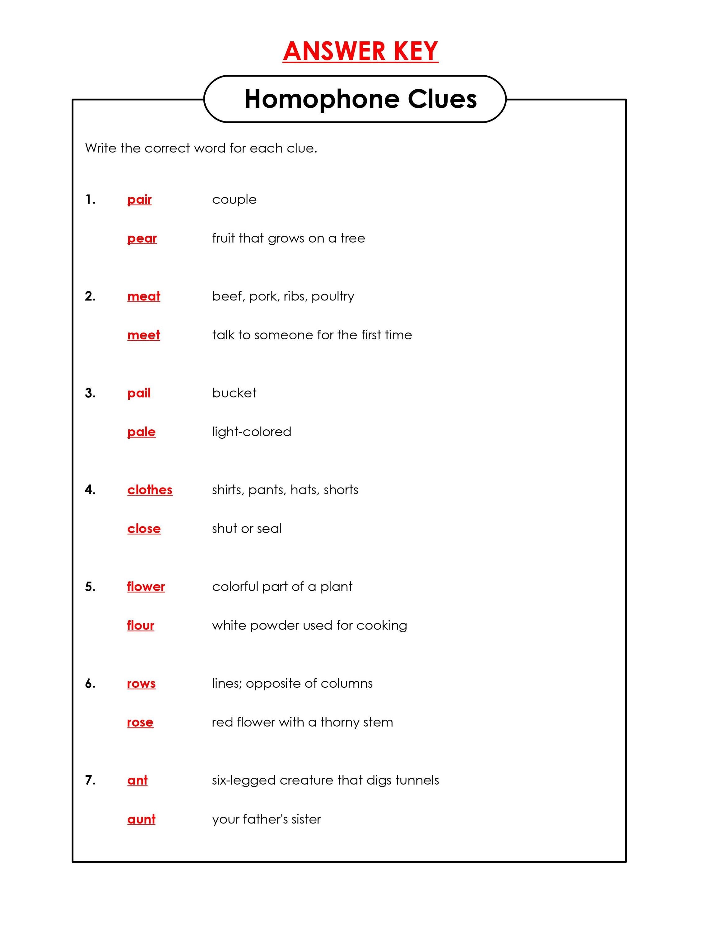Printable Homophone Worksheets: Classroom Grammar (PDF) - Etsy