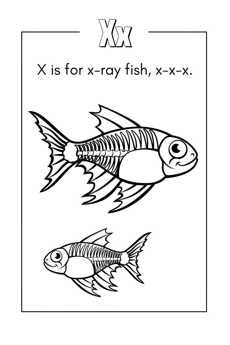 Zoo Phonics | Alphabet Animal Coloring Printables / Flash Cards - Etsy