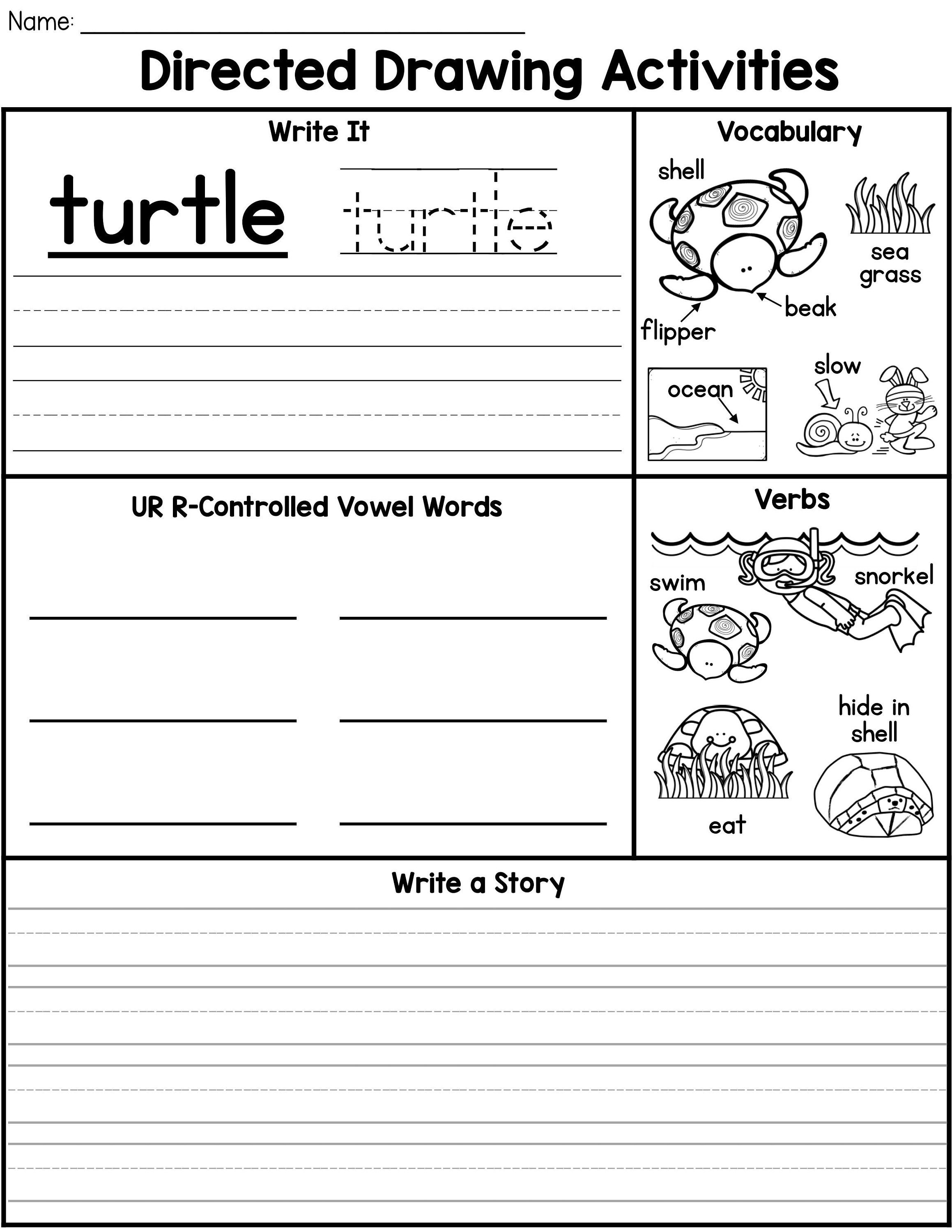 Directed Drawings – Ocean and Vocabulary Activities - Etsy