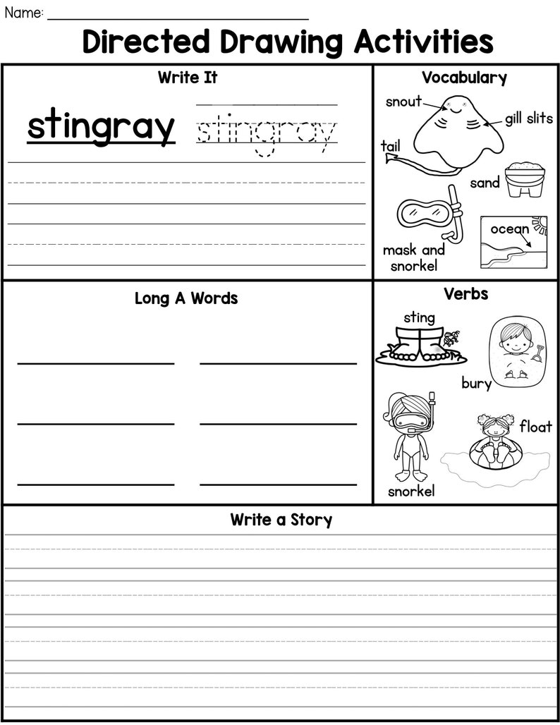 Directed Drawings – Ocean and Vocabulary Activities - Etsy