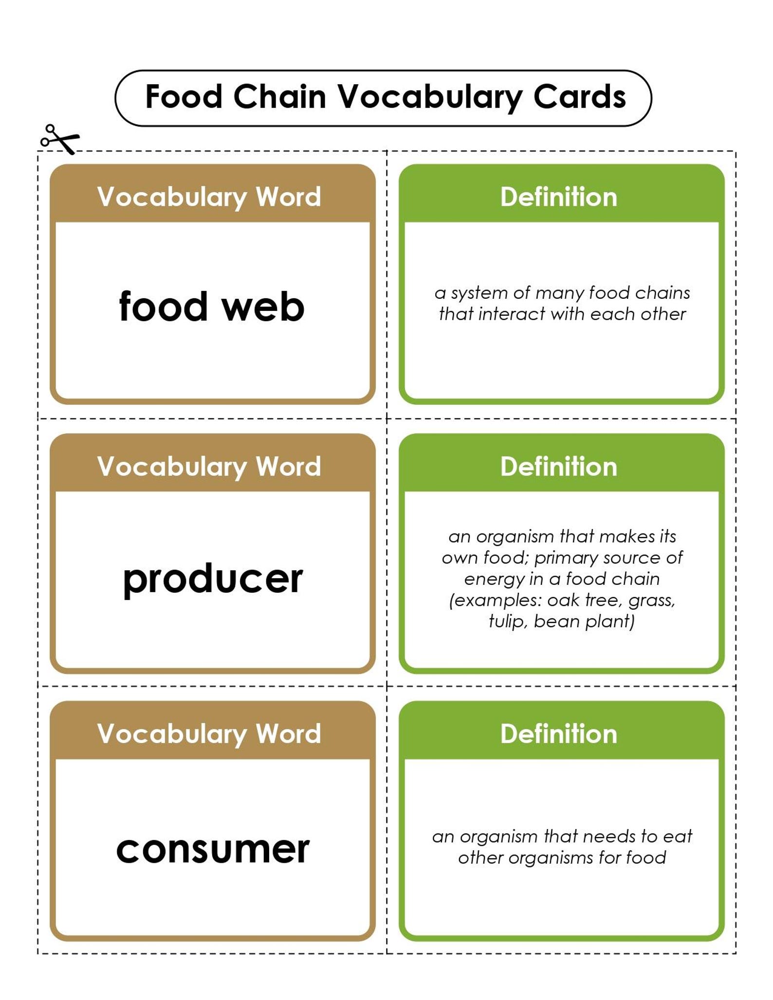Food Chain Activity Worksheets | 2nd and 3rd Grade - Etsy