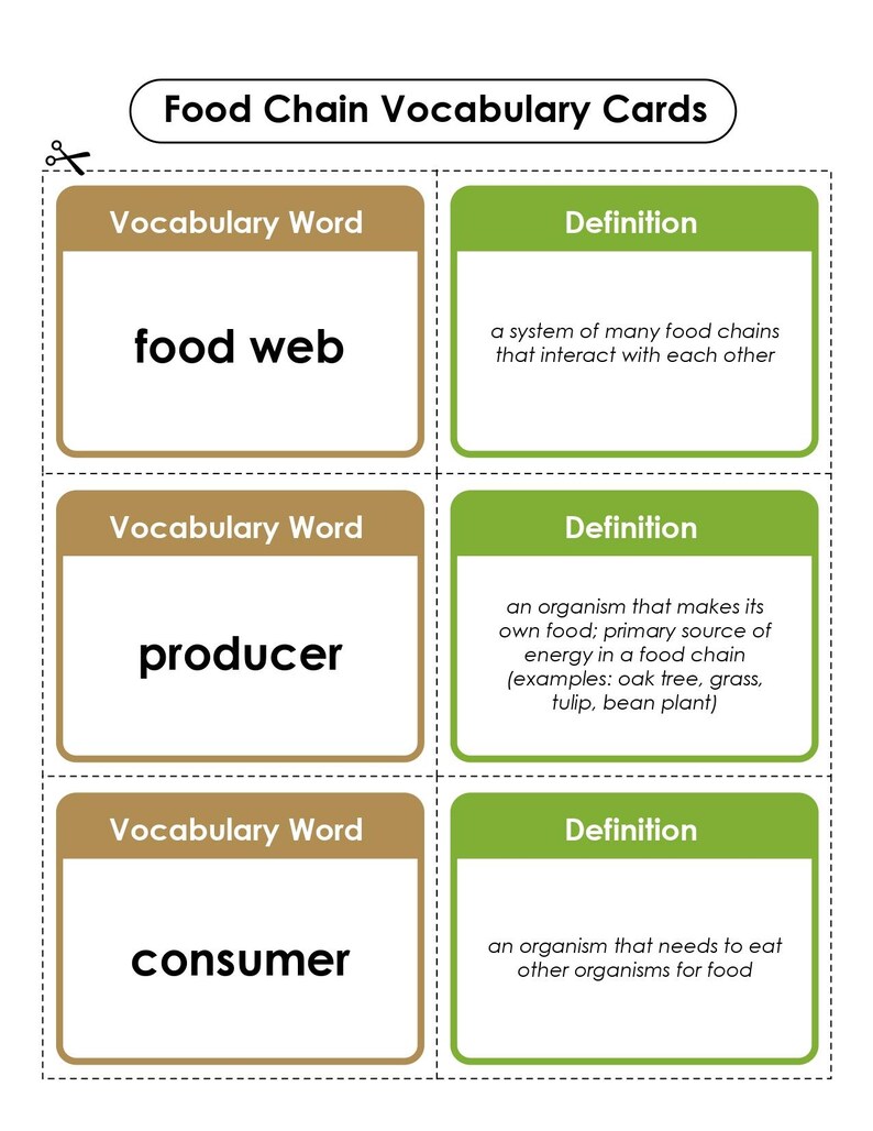 Food Chain Activity Worksheets | 2nd and 3rd Grade - Etsy