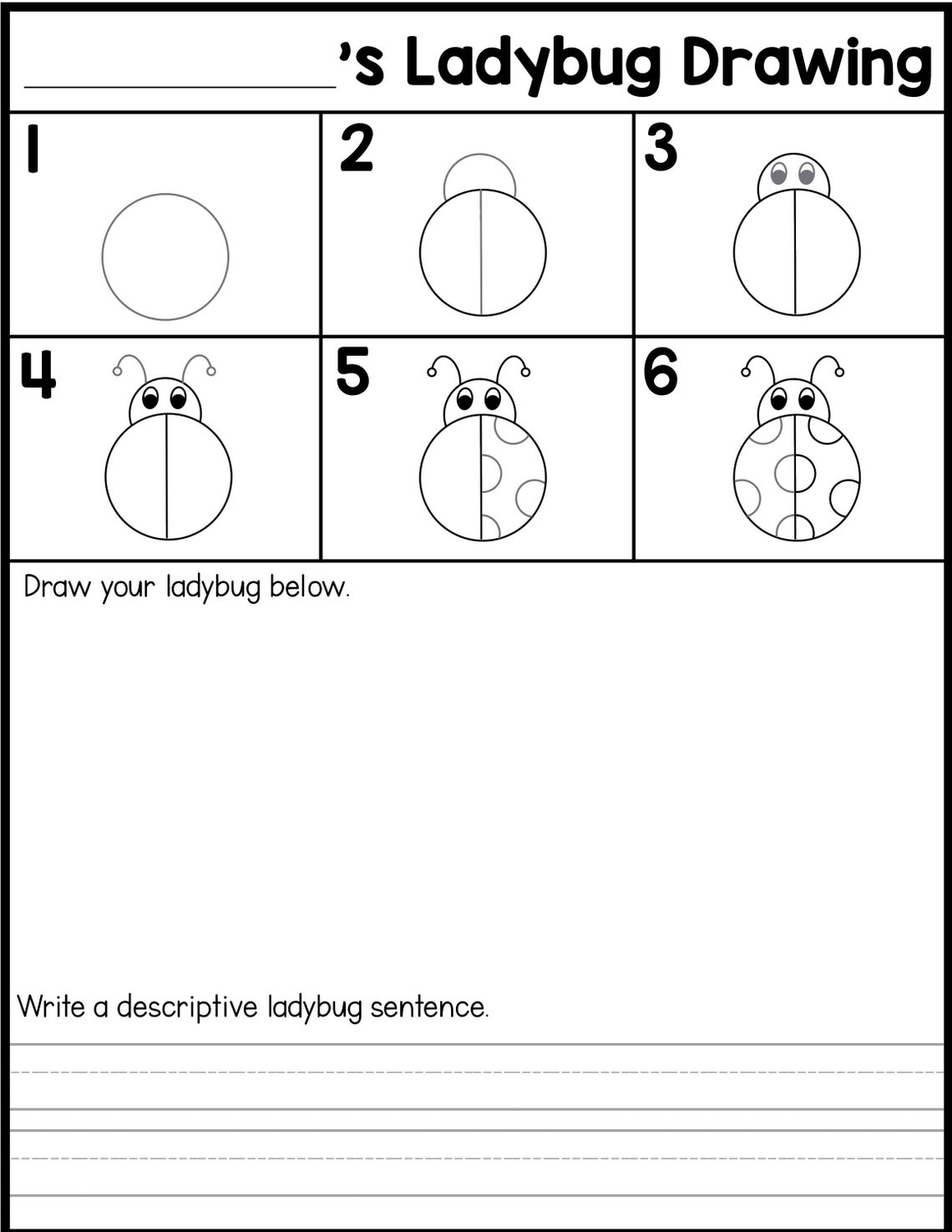 Tiny Animals and Insects - Directed Drawing and Vocabulary Activity for ...