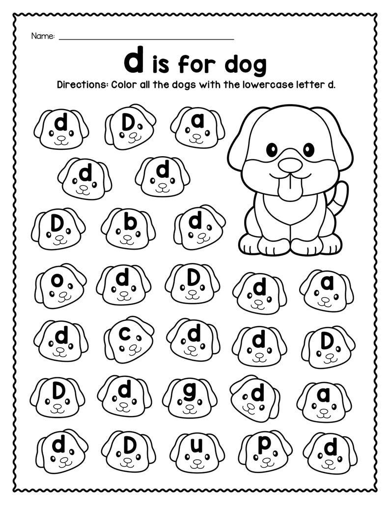 Alphabet Hunt | Letter Recognition Activity - Etsy