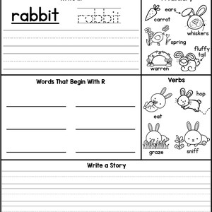 Animal Directed Drawing and Vocabulary Activity for Kids - Etsy