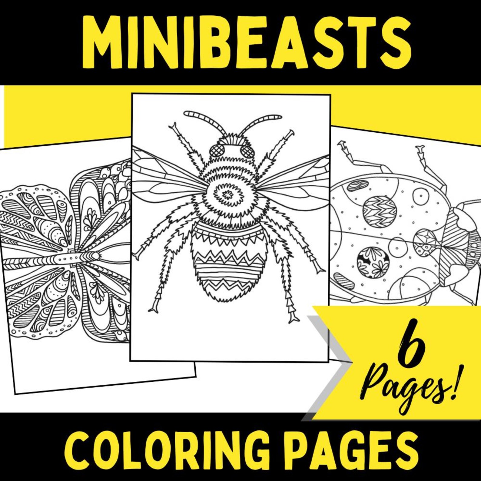 Minibeasts Coloring Pages - Etsy
