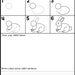 Animal Directed Drawing and Vocabulary Activity for Kids - Etsy