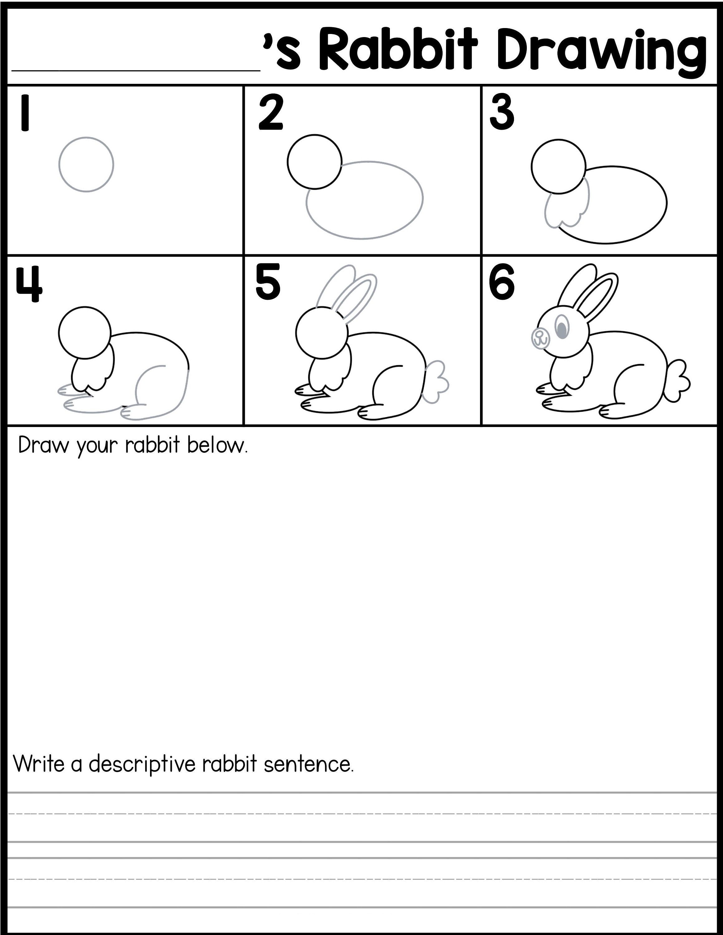 Animal Directed Drawing and Vocabulary Activity for Kids - Etsy