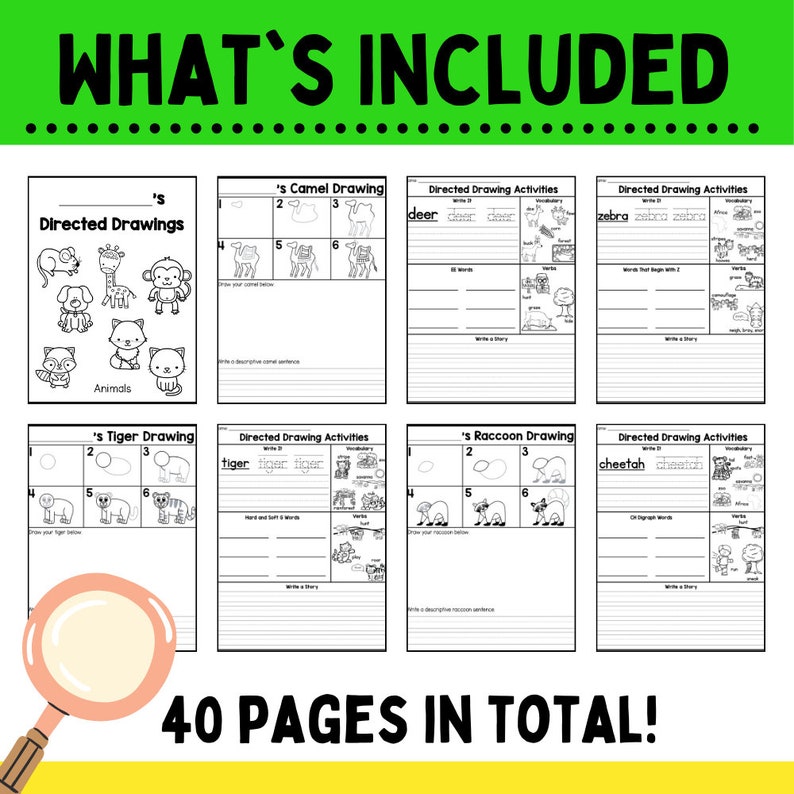 Animal Directed Drawing and Vocabulary Activity for Kids - Etsy