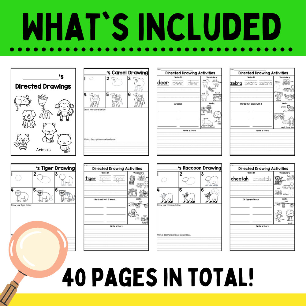 Animal Directed Drawing and Vocabulary Activity for Kids - Etsy