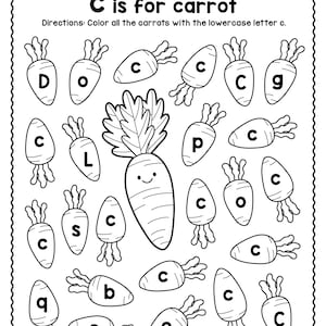 Alphabet Hunt | Letter Recognition Activity - Etsy