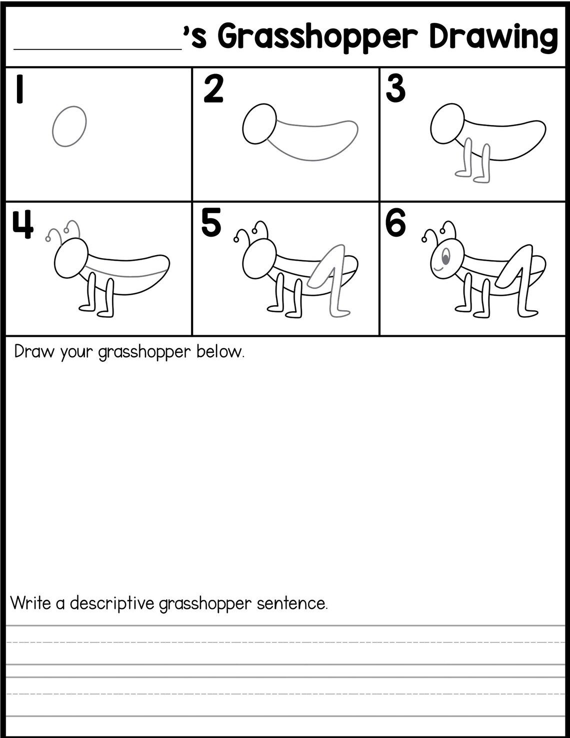 Tiny Animals and Insects - Directed Drawing and Vocabulary Activity for ...