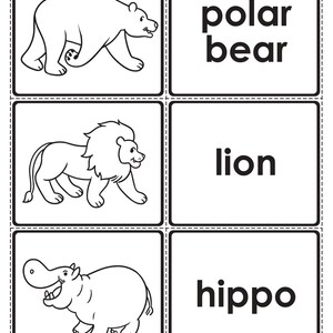 Polar Bear, Polar Bear, What Do You See? | Activity Packet - Etsy