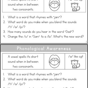 Decodables – Short Vowel A - Phonological Awareness Activities - Etsy