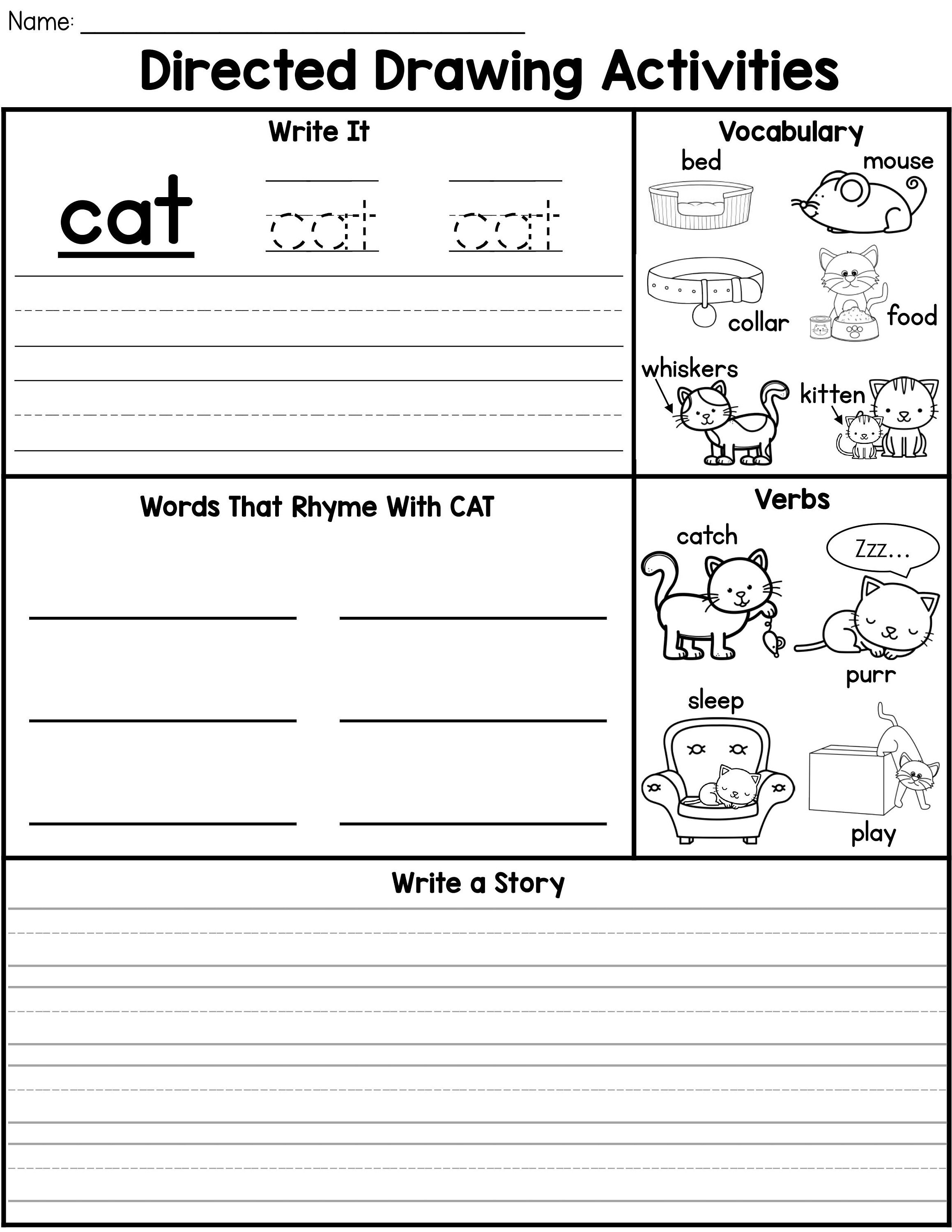 Animal Directed Drawing and Vocabulary Activity for Kids - Etsy