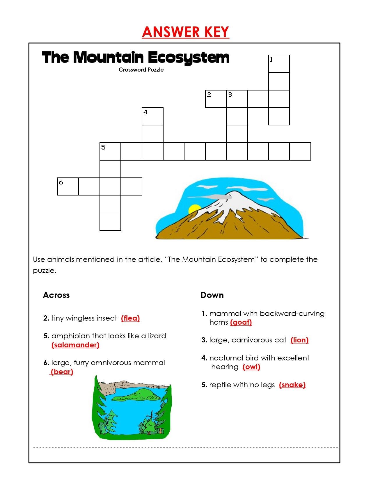 Food Chain Activity Worksheets | 2nd and 3rd Grade - Etsy