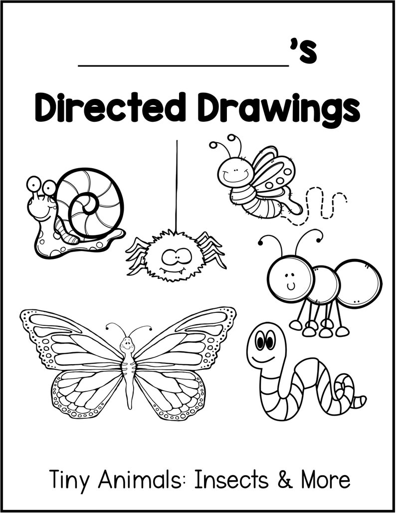 Tiny Animals and Insects - Directed Drawing and Vocabulary Activity for ...